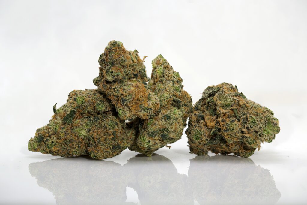 Infinity Linx by Strane: Gas-Packed Power with a Creative Kick - Haven