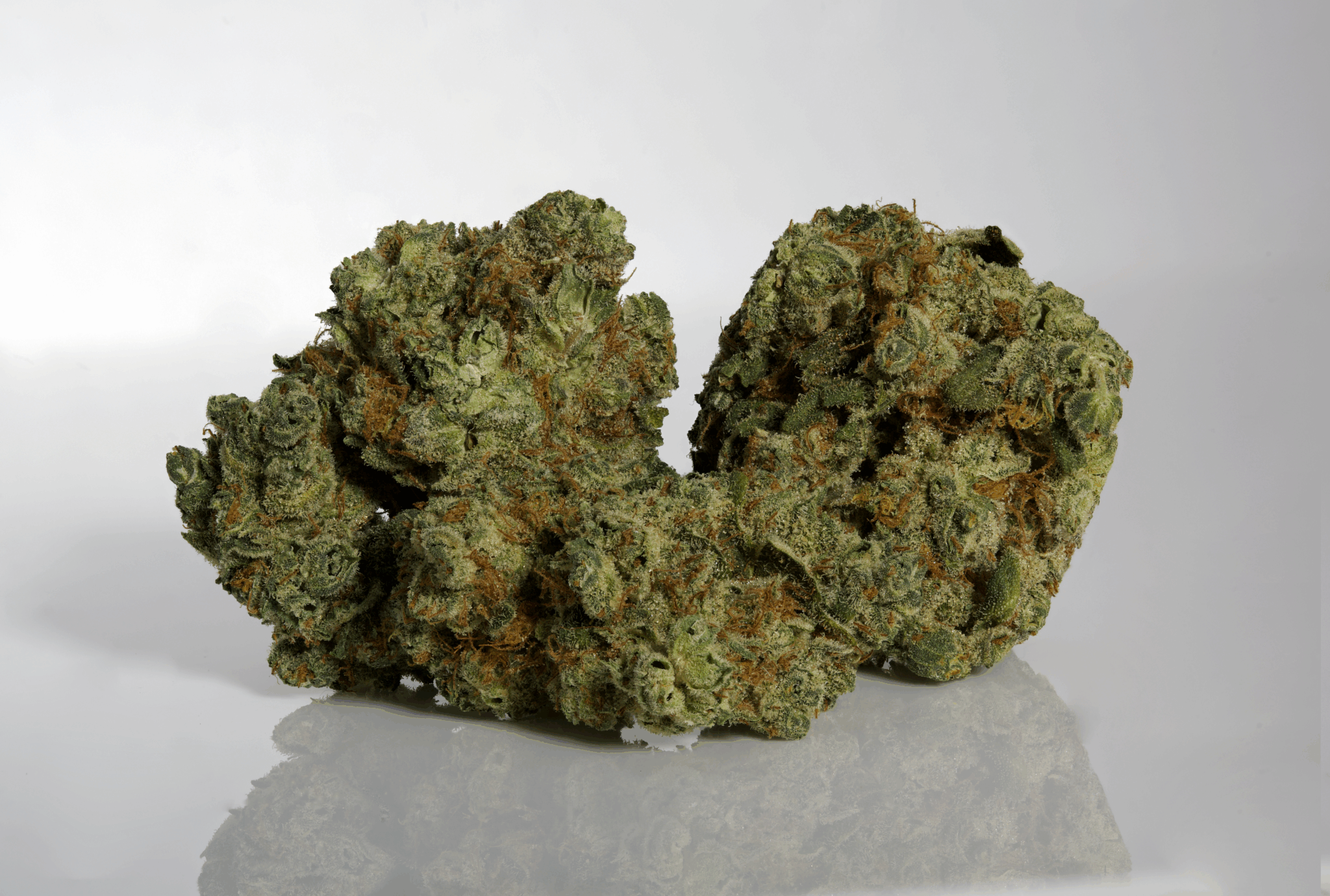 Hindu Hammer by Grow West: A Potent and Powerful 27% Indica Hybrid for ...