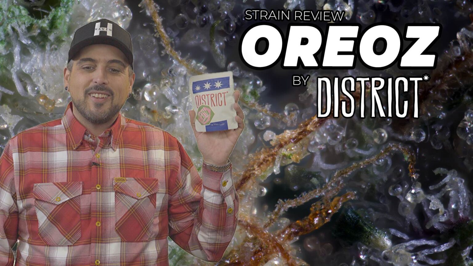 Durban Z by Rythm - Haven